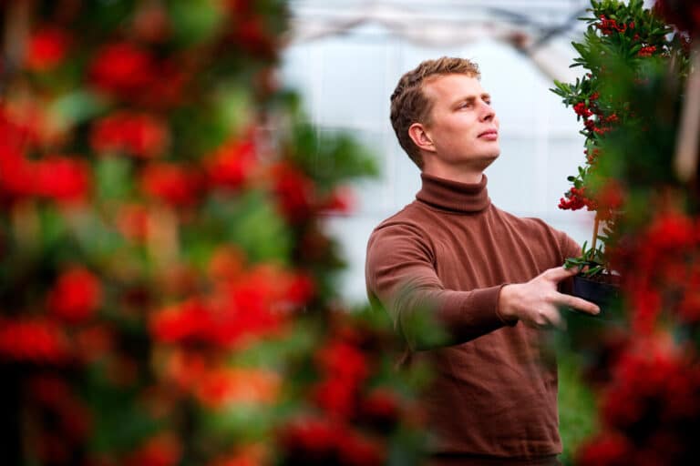 BLOG: reportage producteur Altanova - Javado