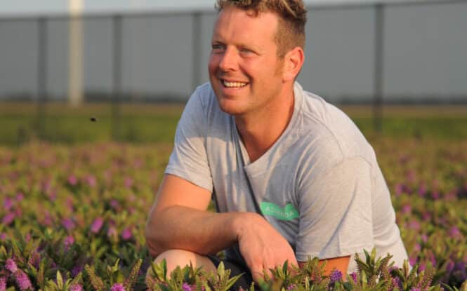 Javado - Your partner in garden and house plants