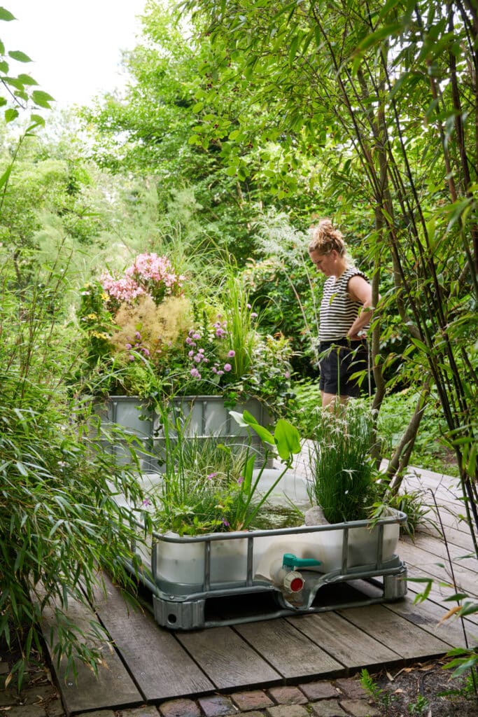 Tuintrend: de wilde tuin - Javado