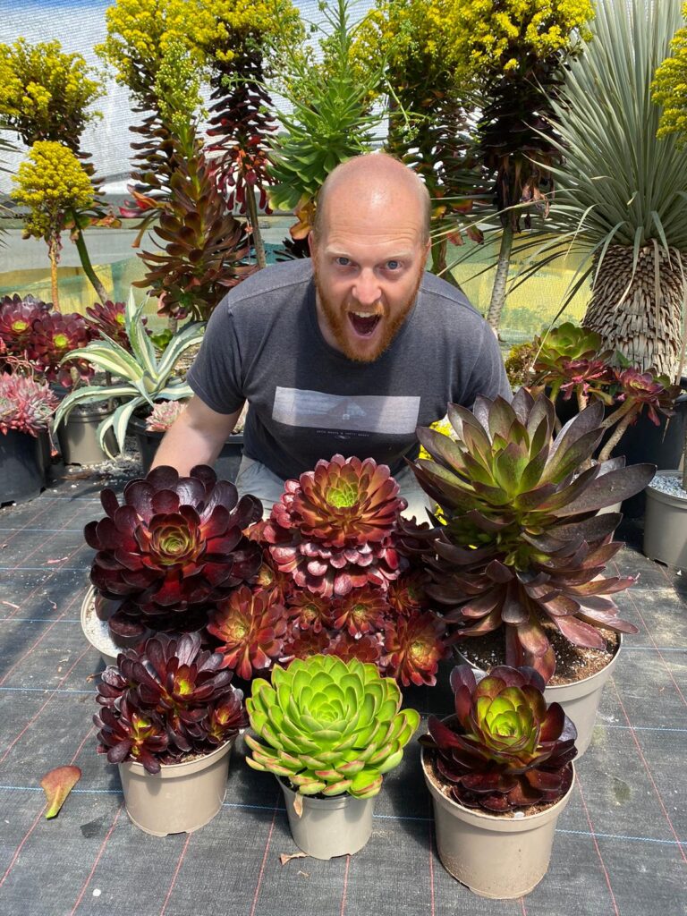 The Story behind Semponium - Javado